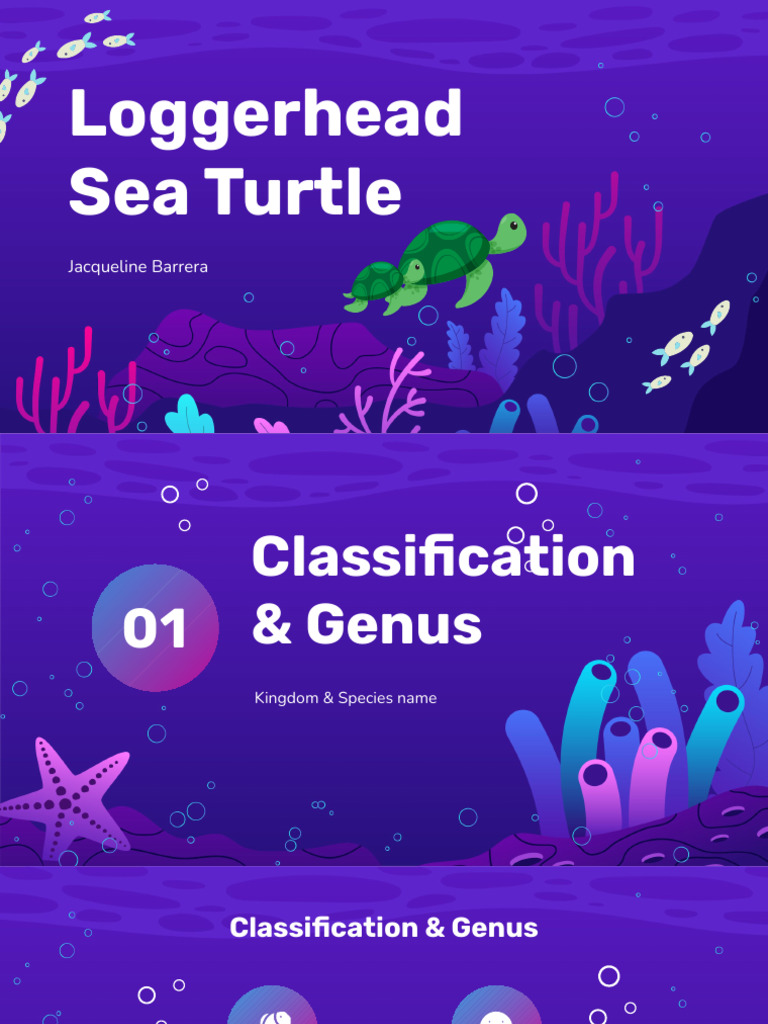 Loggerhead Sea Turtle | PDF | Turtle | Zoology