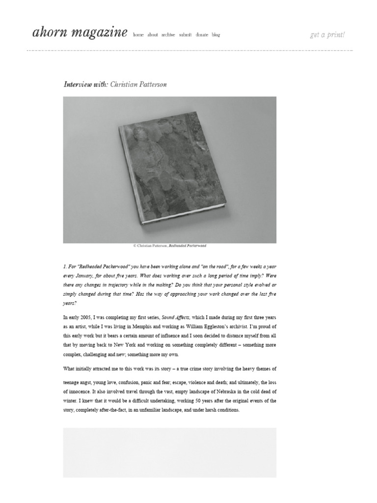 Interview with Christian Patterson | PDF | Books