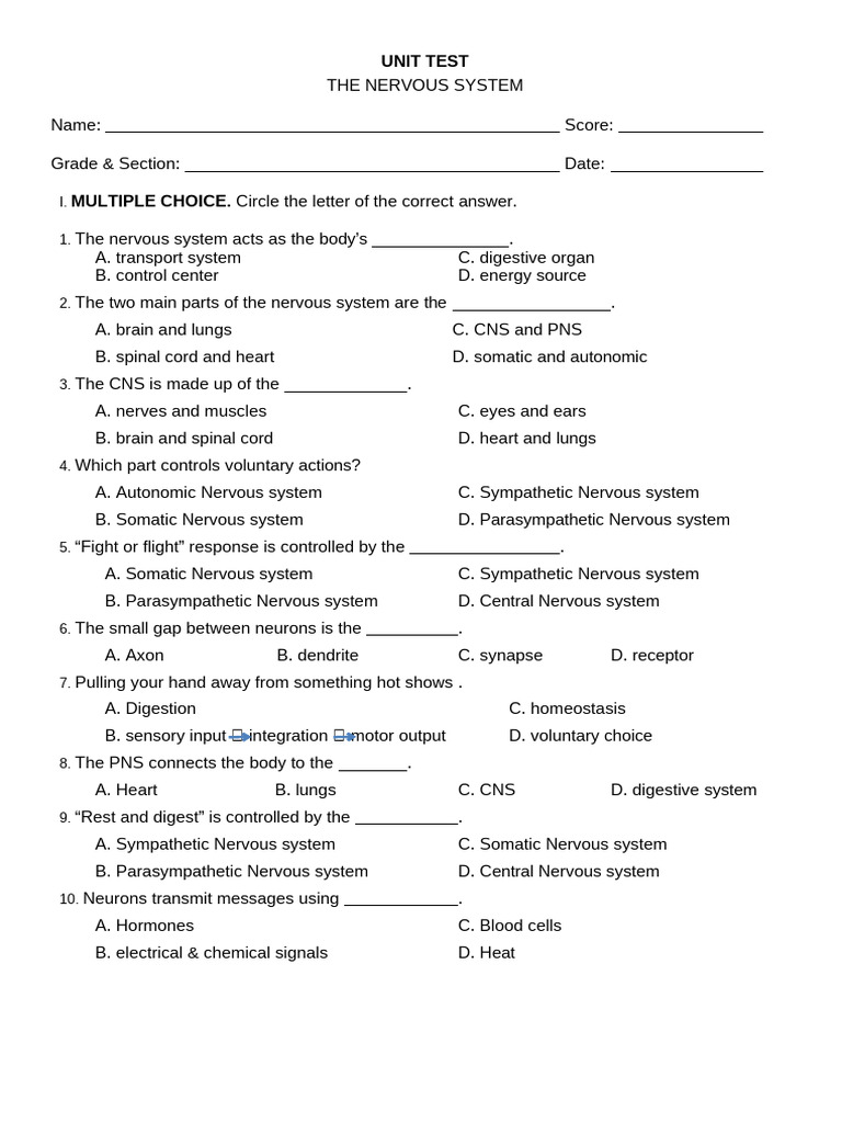 Nervous System Unit Test Questions | PDF | Nervous System | Motor Neuron
