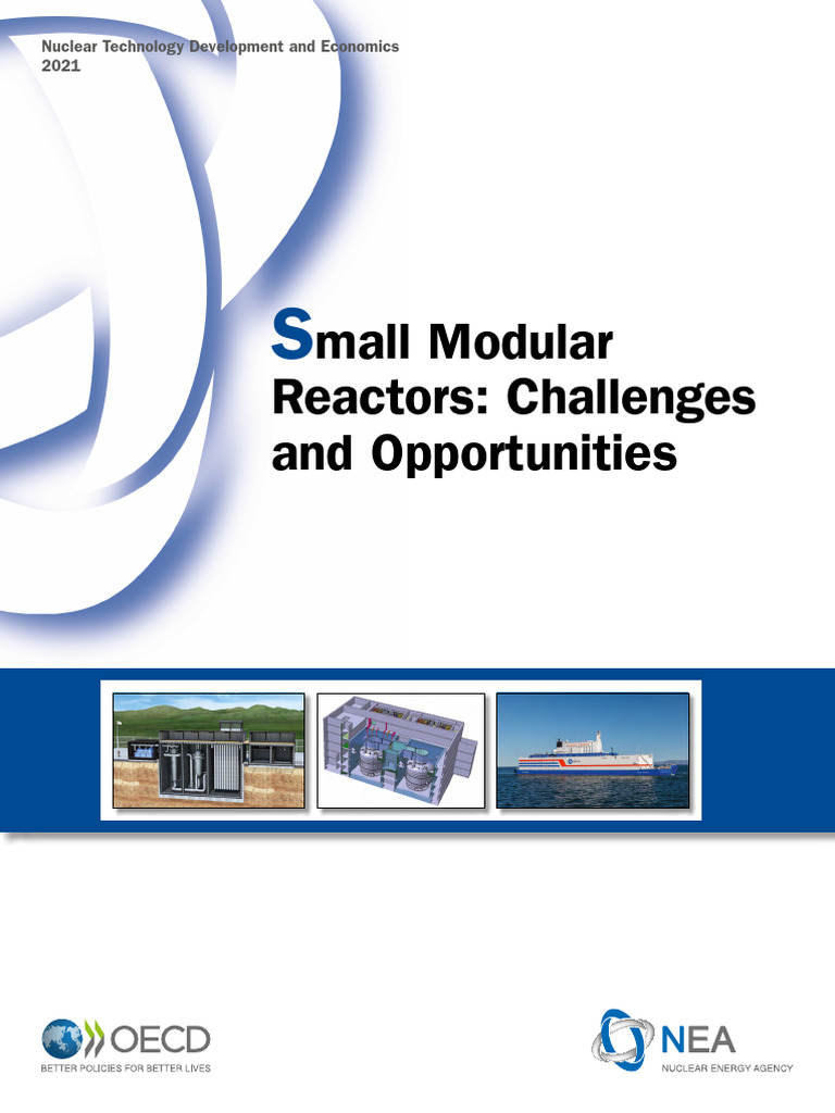Small Modular Reactors: Economic Insights | PDF