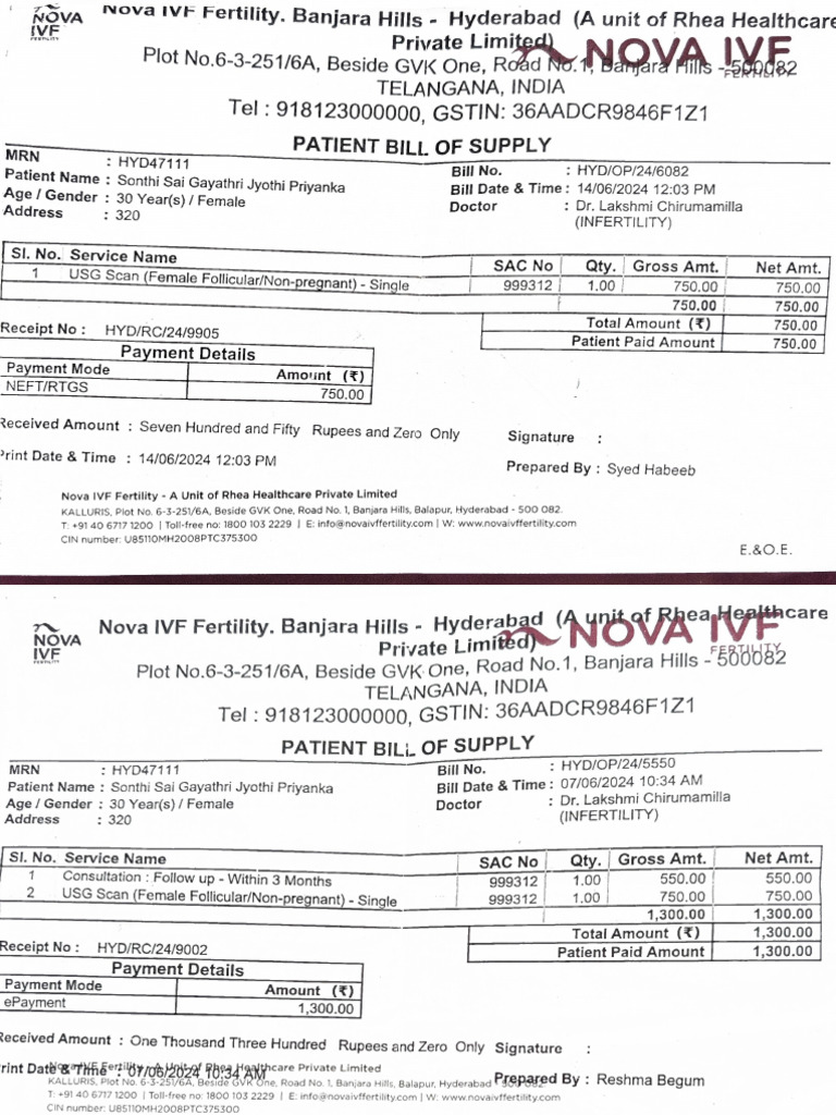 Nova Invoice 2 | PDF
