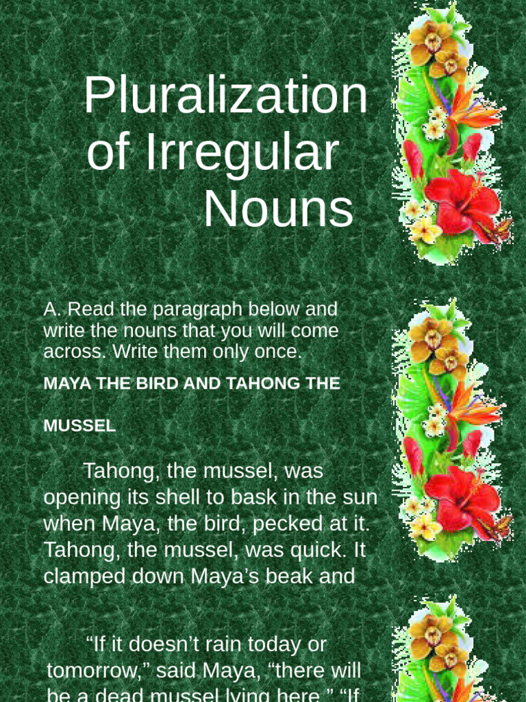 English Pluralization of Irregular Nouns | PDF