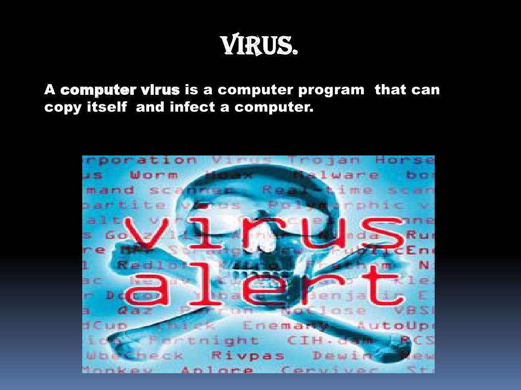 Computer Viruses and Cyber Threats Explained | PDF
