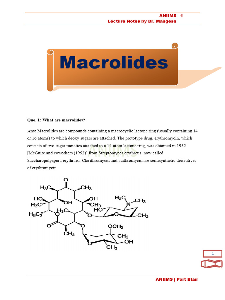 Macrolides: Mechanism, Uses, and Resistance | PDF | Ribosome ...