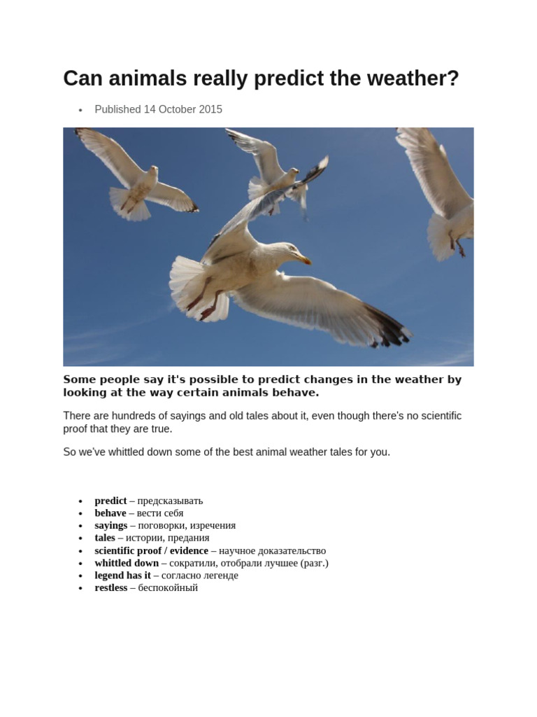 animals and weather | PDF