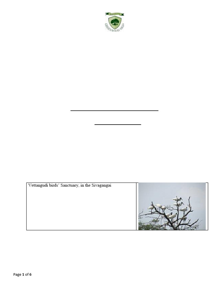 Grade 8 - PHYSICS - Term 1 Exam | PDF | Density | Sound