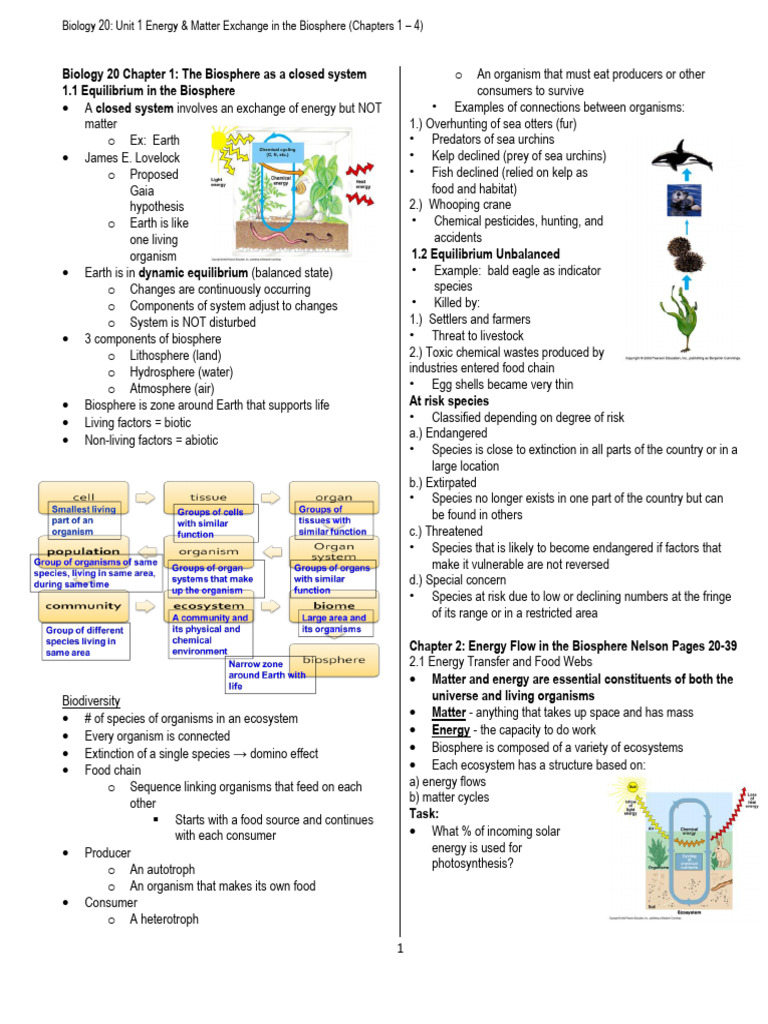 Energy & Matter in the Biosphere | PDF | Food Web | Fertilizer