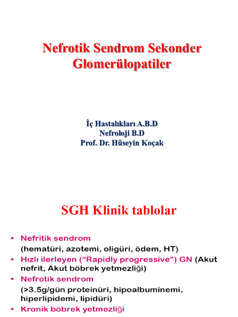 Nefrotik sendrom sekonder glomerülopatiler.pdf.pdf (1) | PDF