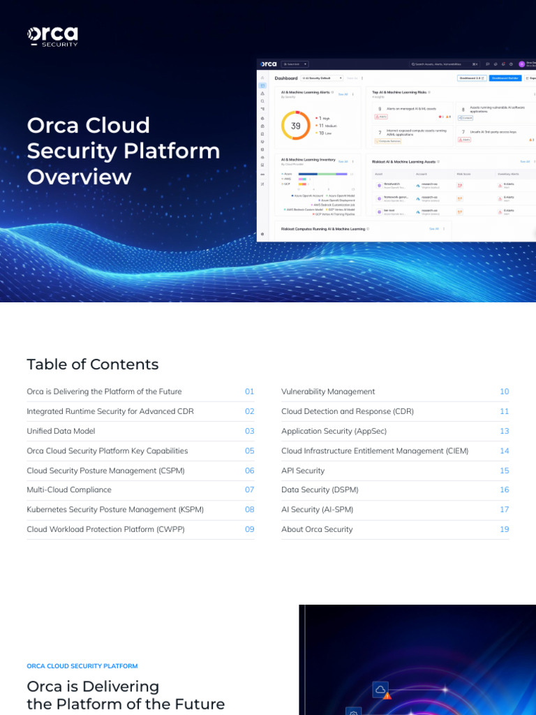 Orca Security Platform Overview Solution Brief | PDF | Cloud Computing ...