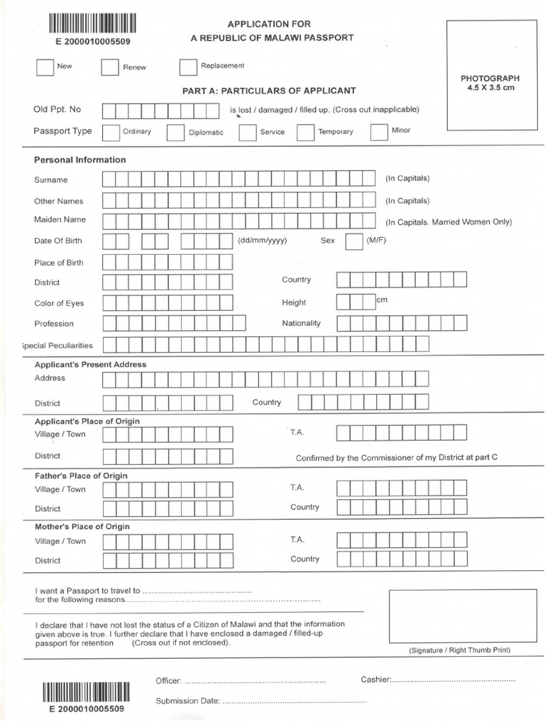 Passport Form | PDF