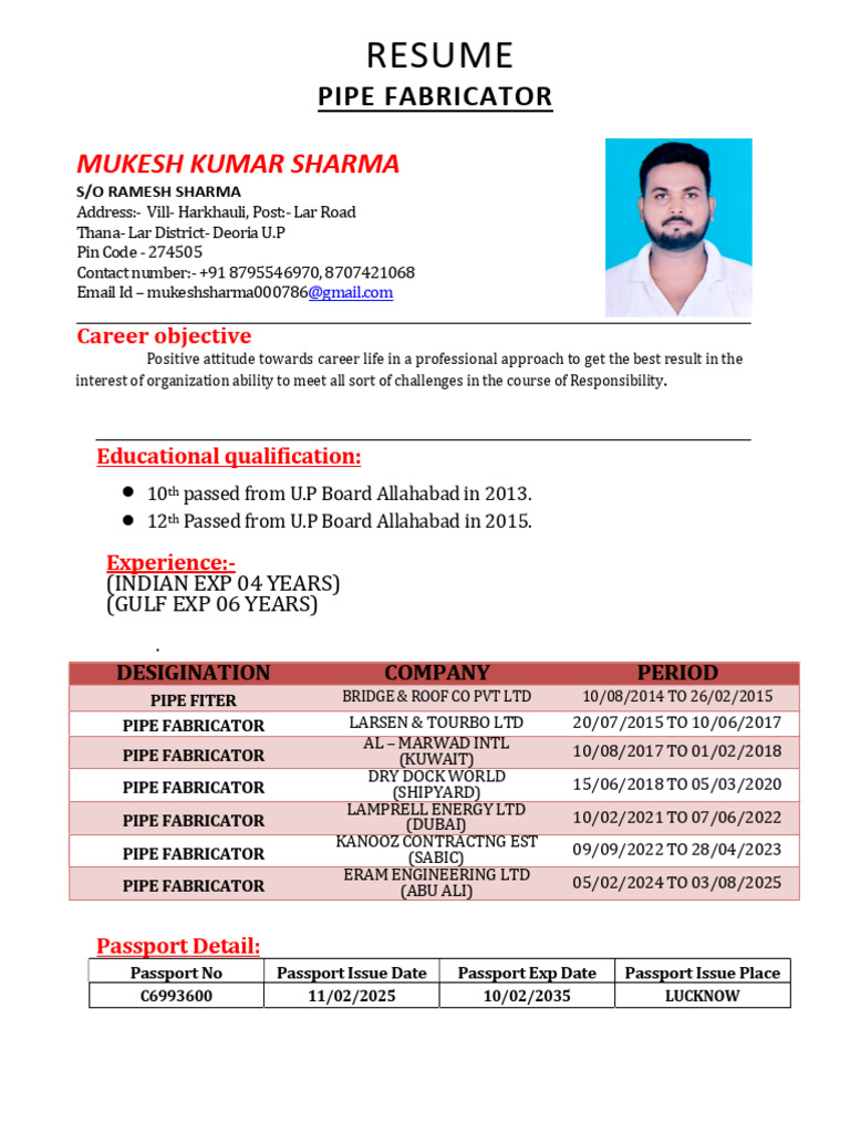 Pipe Fab Only Cv | PDF