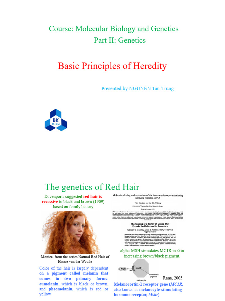 Understanding Heredity and Genetics | PDF | Dominance (Genetics) | Genotype