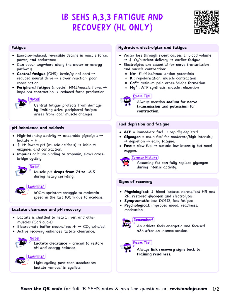 Understanding Fatigue and Recovery in Athletes | PDF | Muscle ...