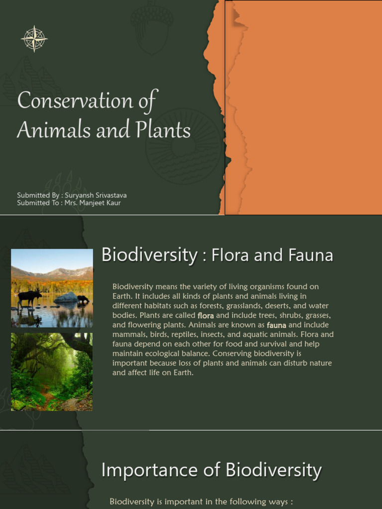 Conservation of Animals and Plants | PDF | Biodiversity | Conservation ...
