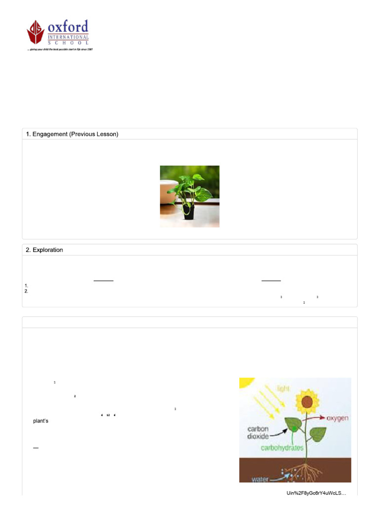 Biology-C7-Model LP-Nusrat Jahan Toma-GC | PDF | Photosynthesis | Biology