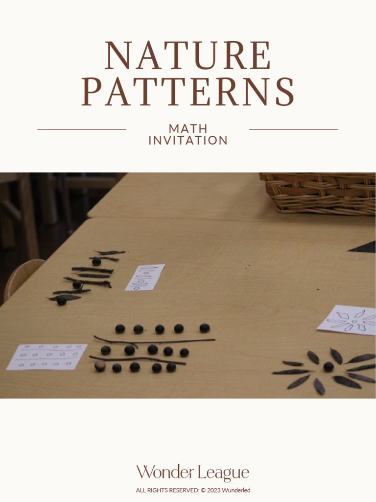 Nature Pattern Card Activity Guide | PDF