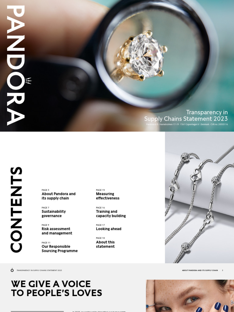 Pandora_TISC_2023 (2) | PDF | Supply Chain | Risk