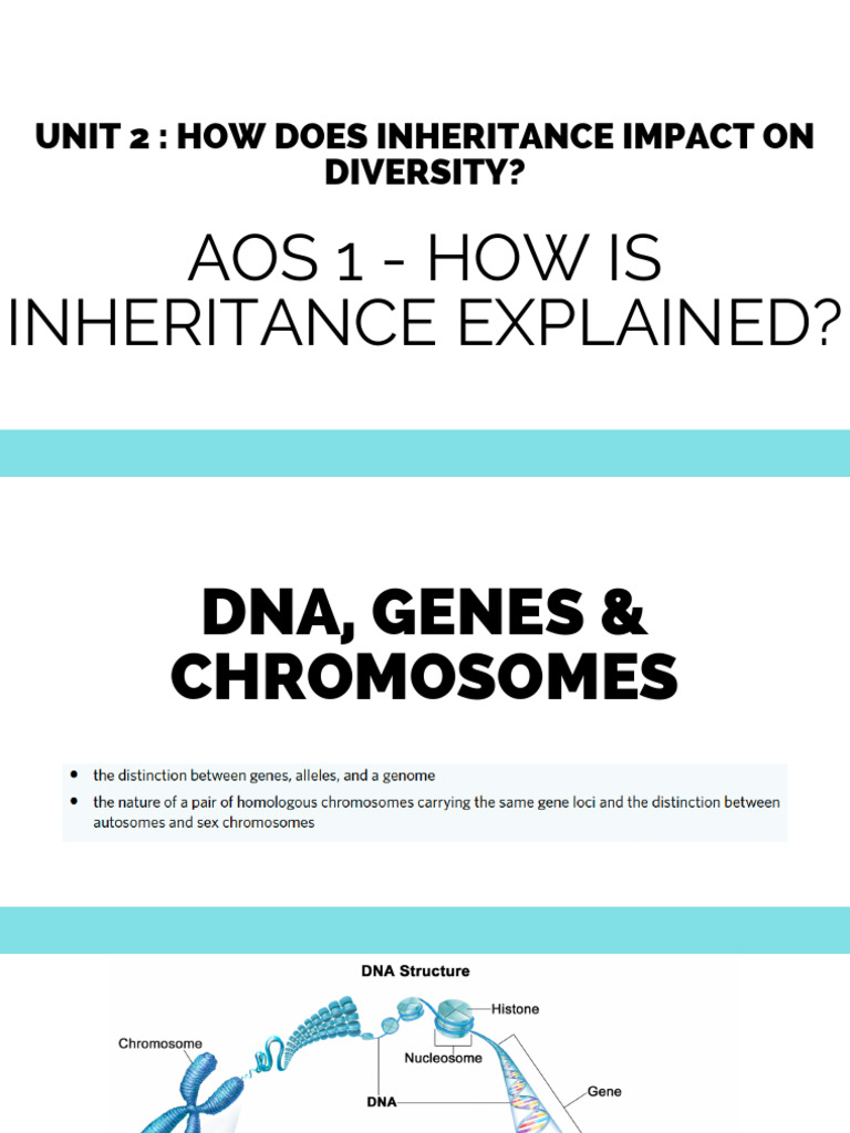 Inheritance and Genetic Diversity Explained | PDF | Chromosome | Gene