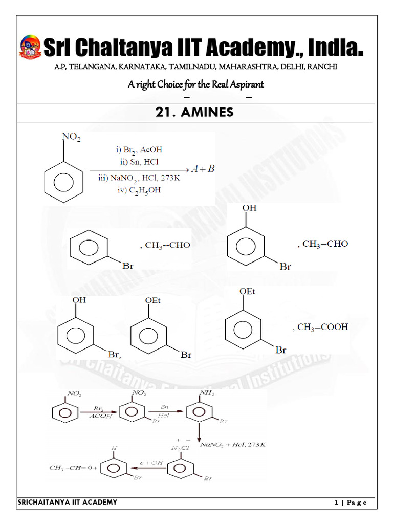 21_AMINES | PDF | Organic Chemistry | Chemistry