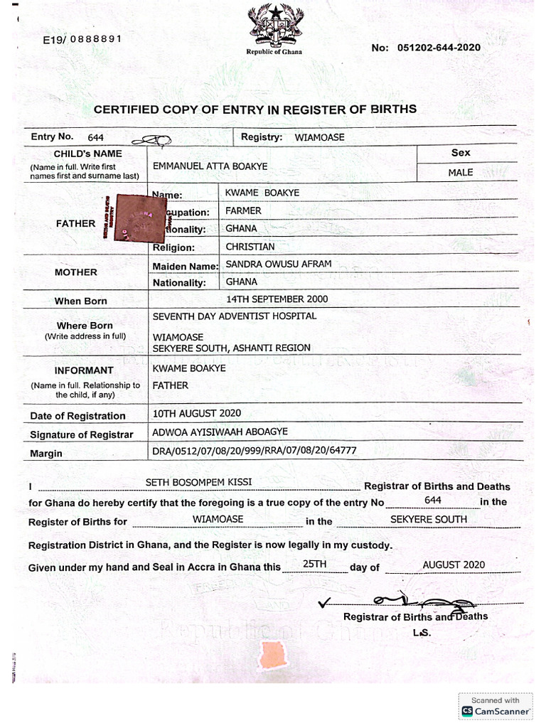 Birth Certificate 3 | PDF