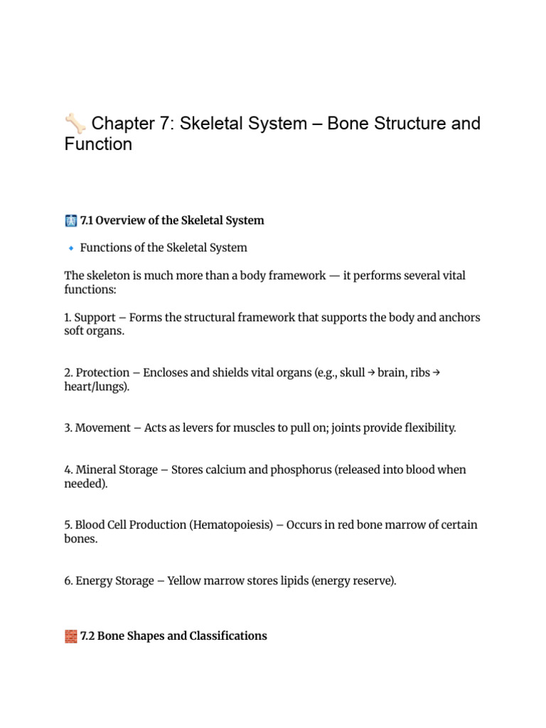 ? Chapter 7- Skeletal System – Bone Structure and Function | PDF | Bone ...