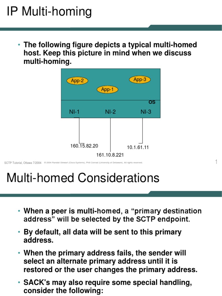 Sctp Tutorial Ip Multi Homing Computer Data Internet Architecture