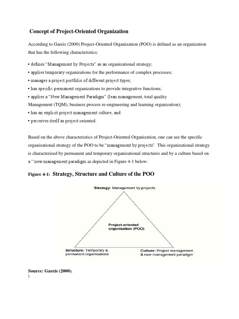 Poo | PDF | Strategic Management | Business Process