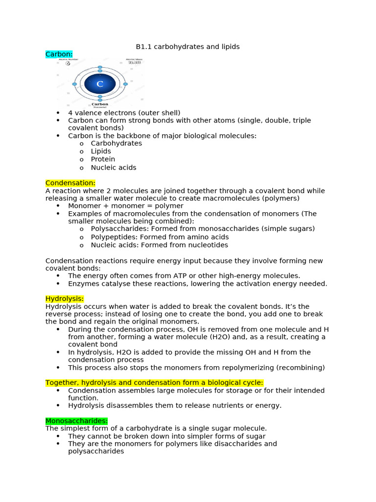 B1.1 Carbohydrates and Lipids | PDF | Carbohydrates | Macromolecules