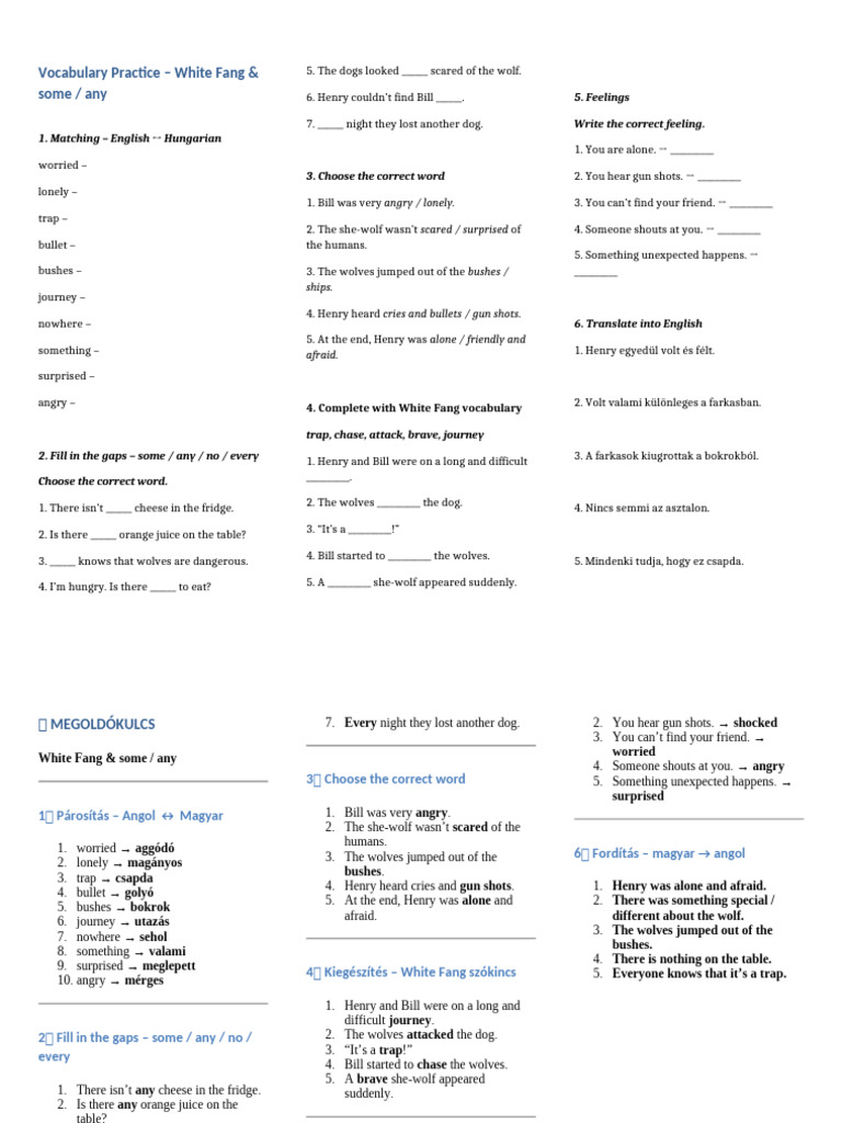 Vocabulary Practice: White Fang & Grammar | PDF | Chess | Chess Theory