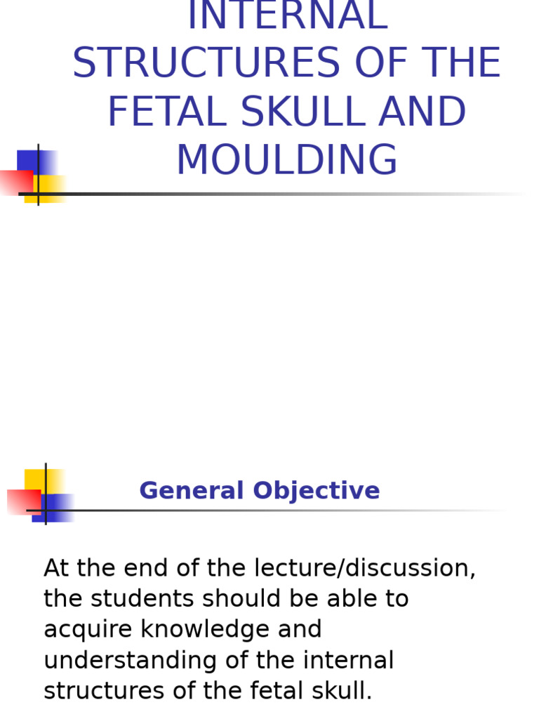 Fetal Skull Structures and Moulding Explained | PDF | Skull | Vein