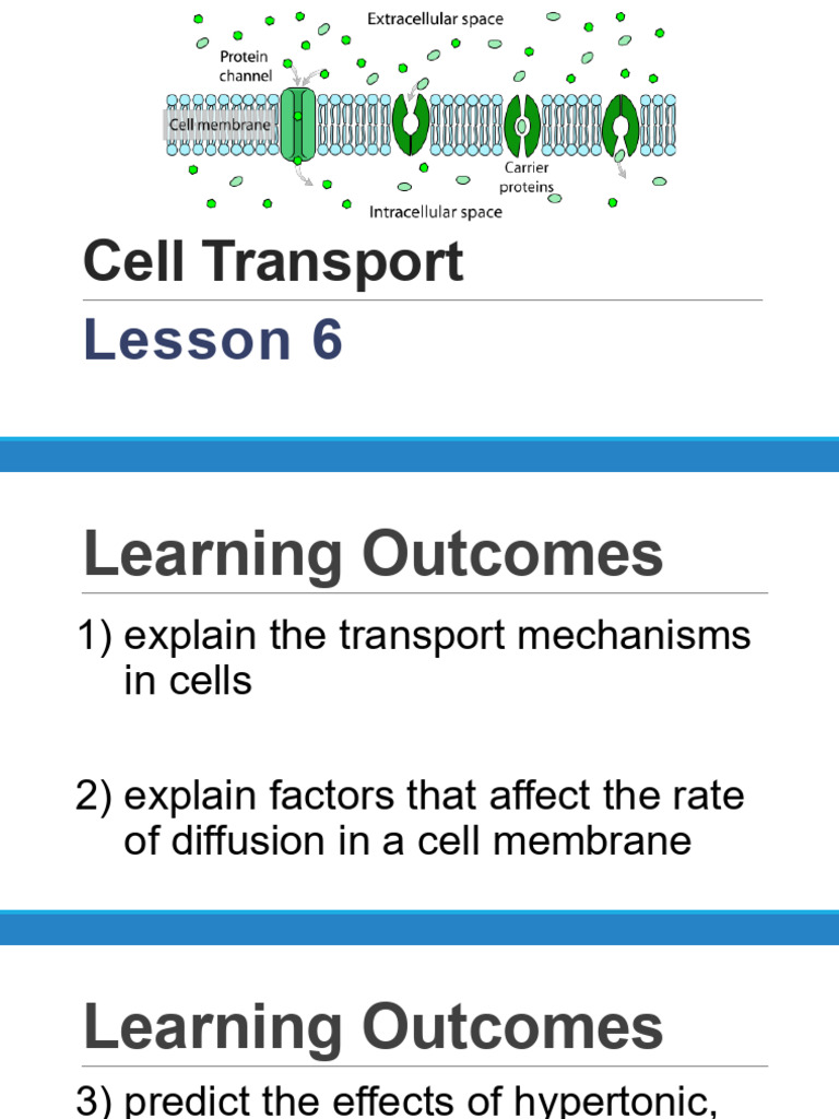 Cell-Transport | PDF | Cell Membrane | Osmosis