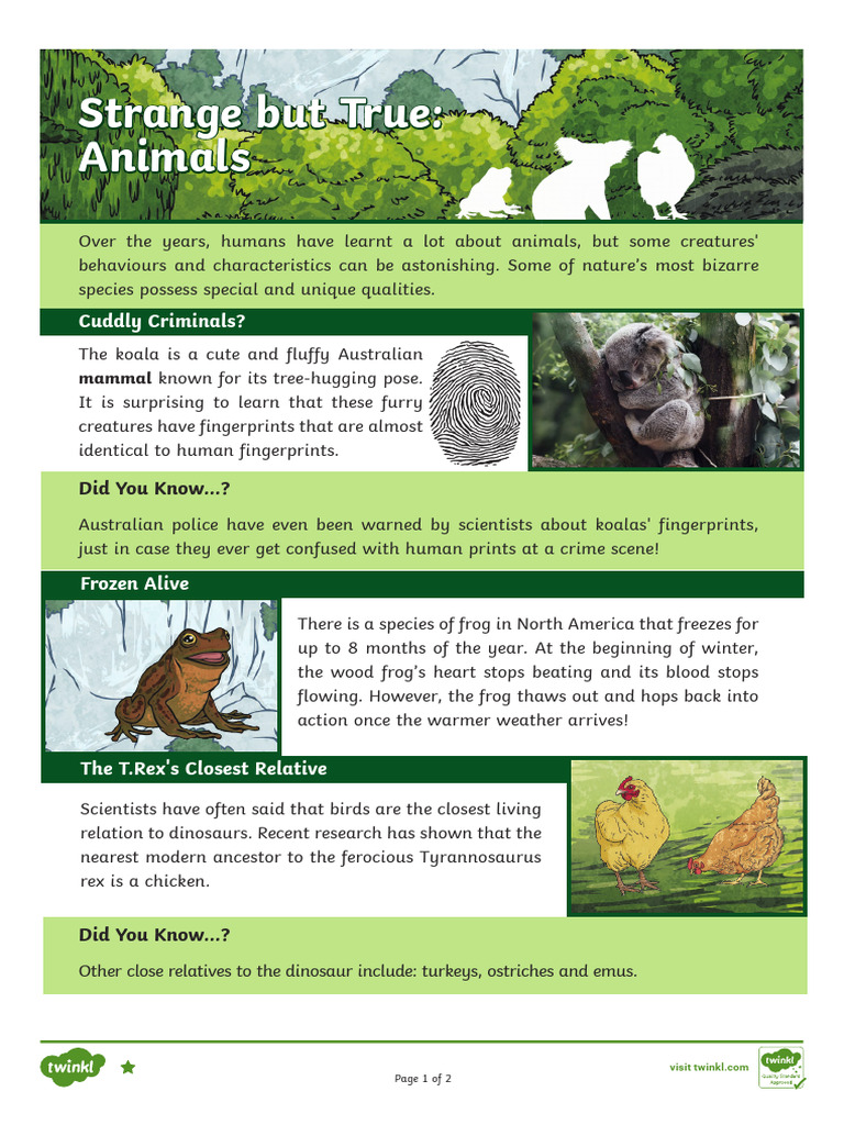 t e 2551843 Uks2 Strange but True Animals Differentiated Reading ...