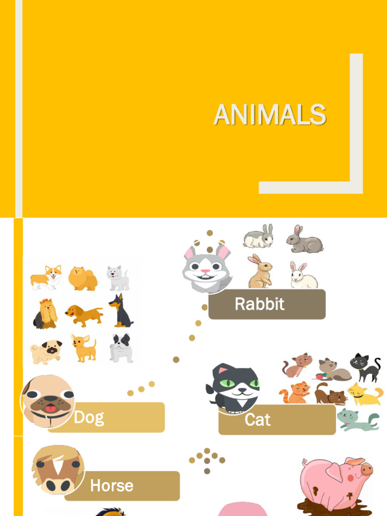 01 - Animals 01 | PDF