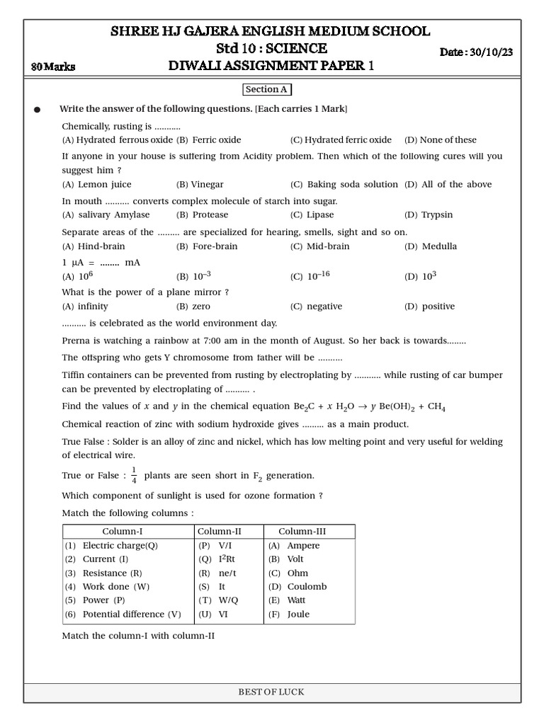 Std 10 Science Diwali Assignment 2023 | PDF | Zinc | Copper