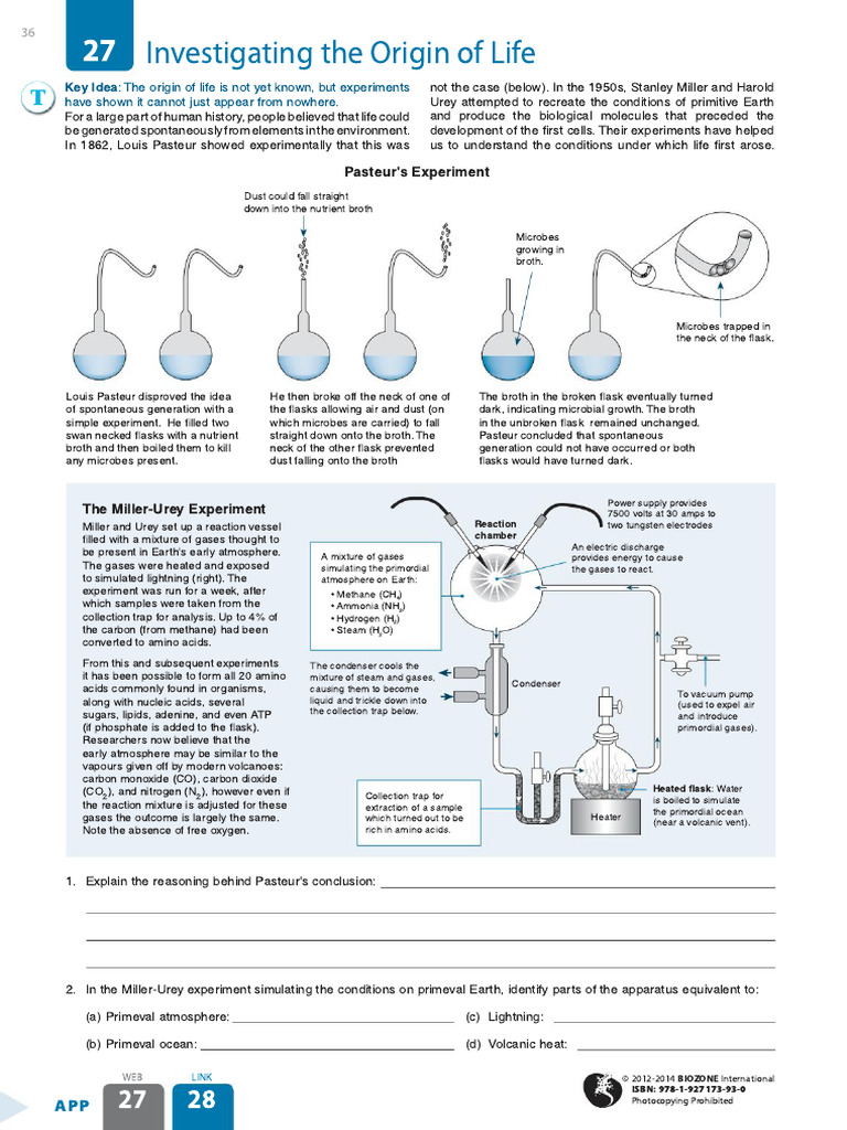 Origin of Life: Pasteur & Miller-Urey | PDF | Abiogenesis | Microorganism