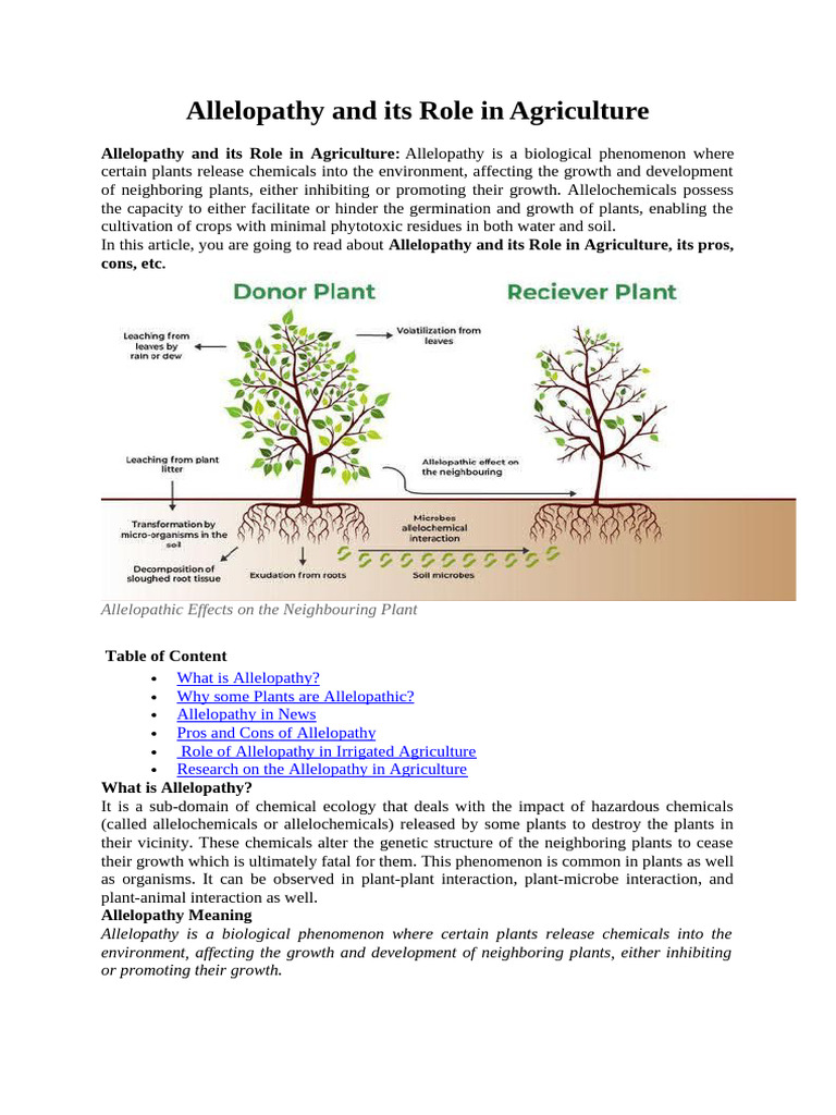 Understanding Allelopathy in Agriculture | PDF | Agriculture | Weed