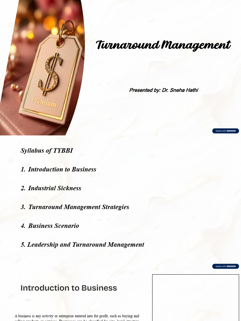 Introduction-to-Business | PDF | Strategic Management | Business