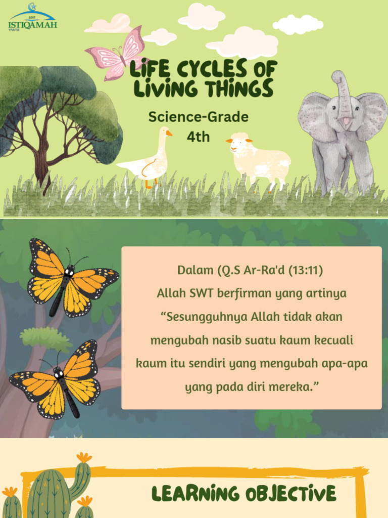 Unit 3. Life Cycles of Living Things | PDF | Seed | Mosquito