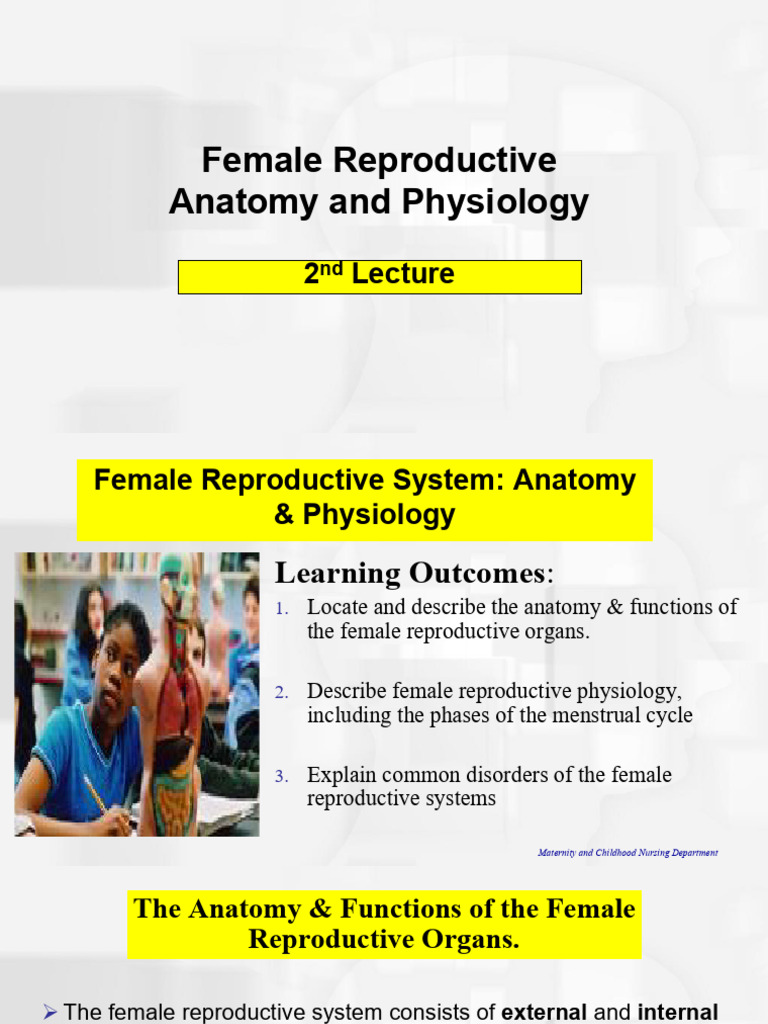 Female Reproductive Anatomy & Physiology | PDF | Menstrual Cycle ...