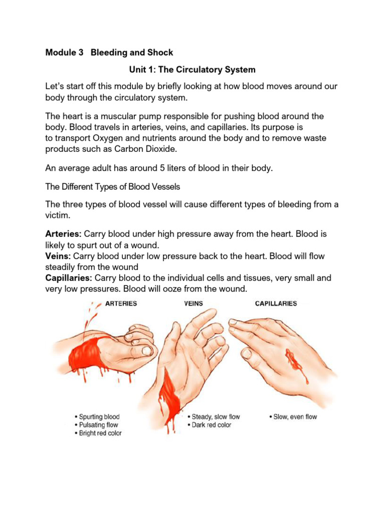 Understanding Bleeding and Shock First Aid | PDF | Shock (Circulatory ...