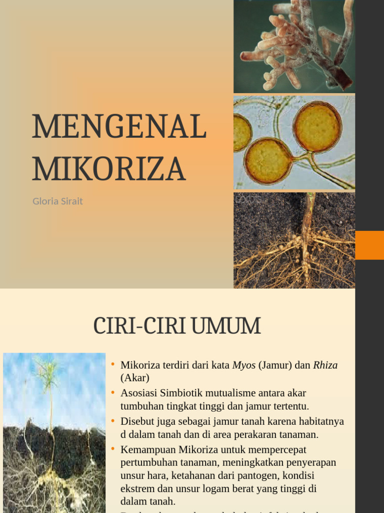 Mikoriza: Manfaat dan Jenisnya untuk Tanaman | PDF