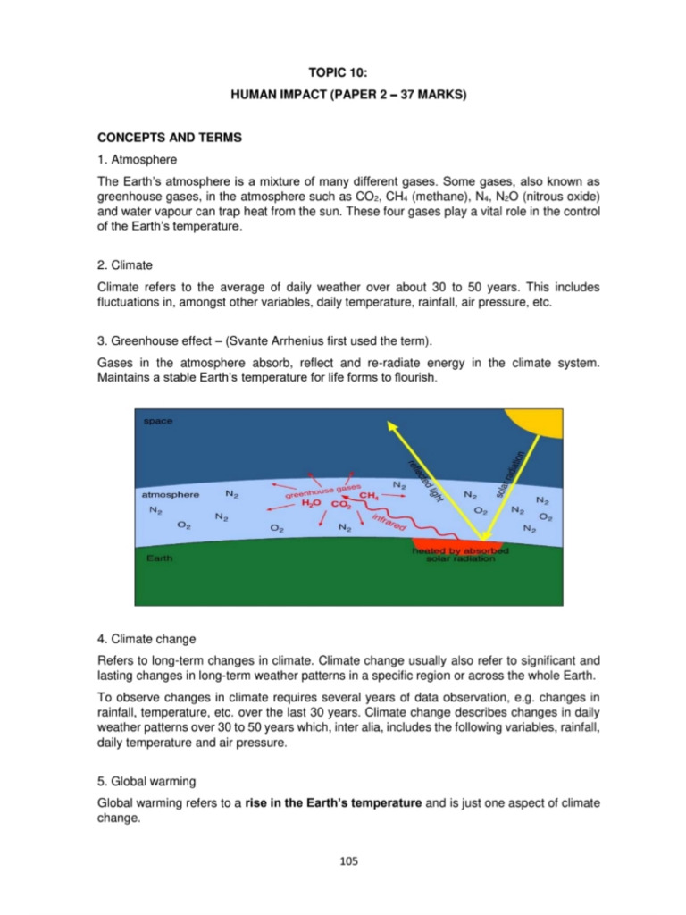 Human Impact | PDF