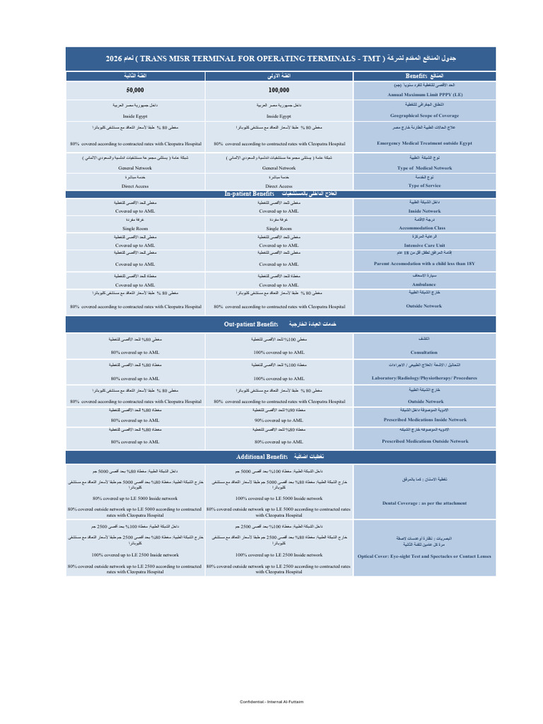 Trans Misr Terminal For Operating Terminals - TMT 2026: Benefits | PDF