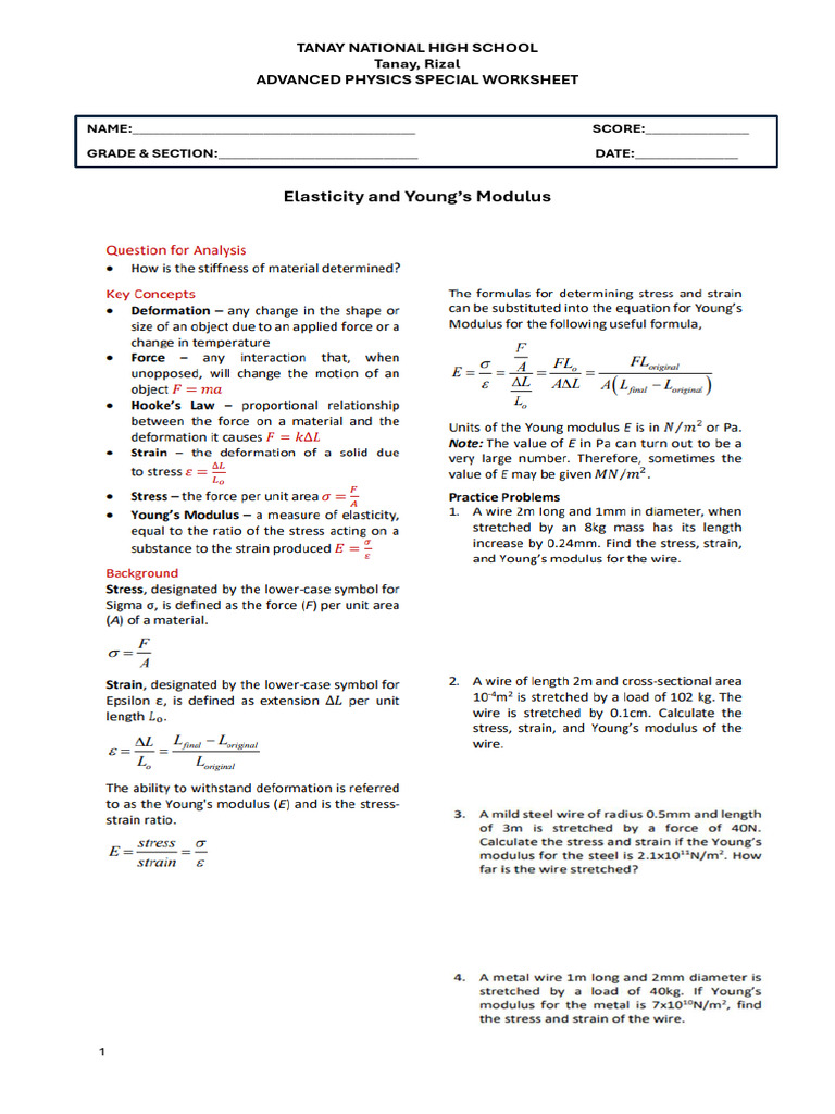 Elasticity and Young's Modulus Worksheet | PDF