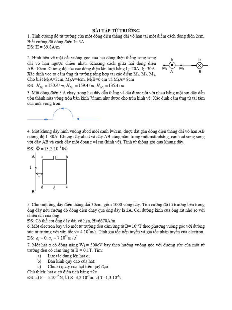 BT Từ | PDF