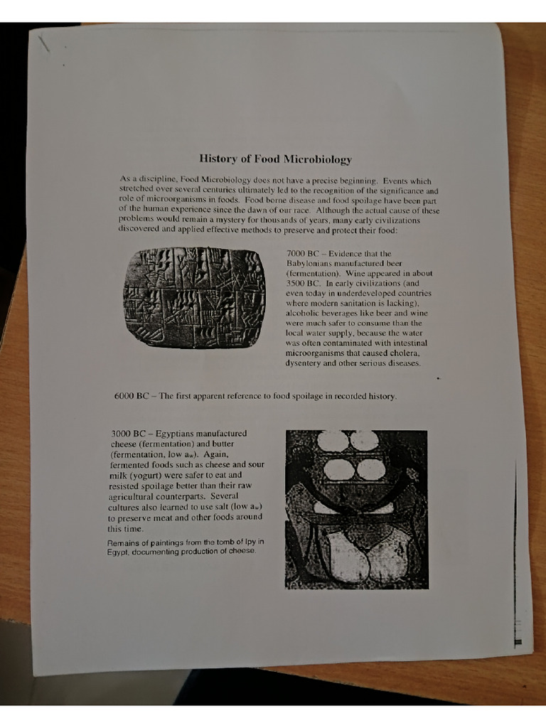 History of Food Biotechnology | PDF