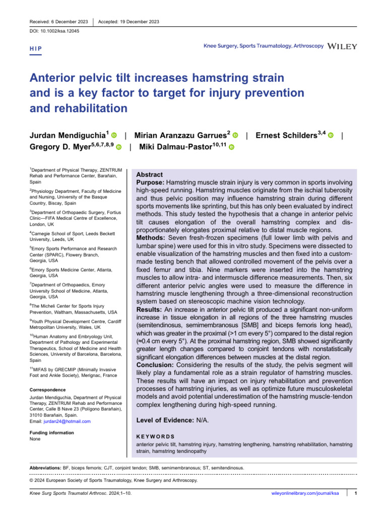 Anterior Pelvic Tilt Increases Hamstring Strain and Is A Key Factor To ...