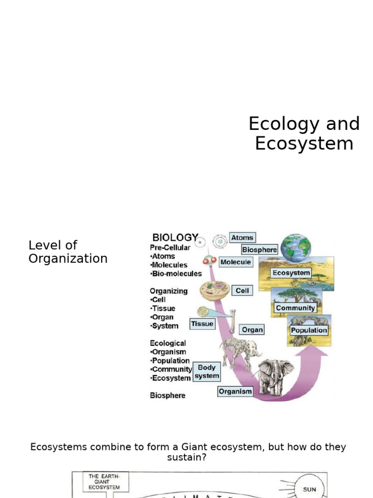 Ecosystem and Environment 1st Module | PDF | Climate Change | Ecosystem