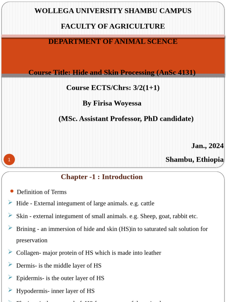 HS For 2024 | PDF | Skin