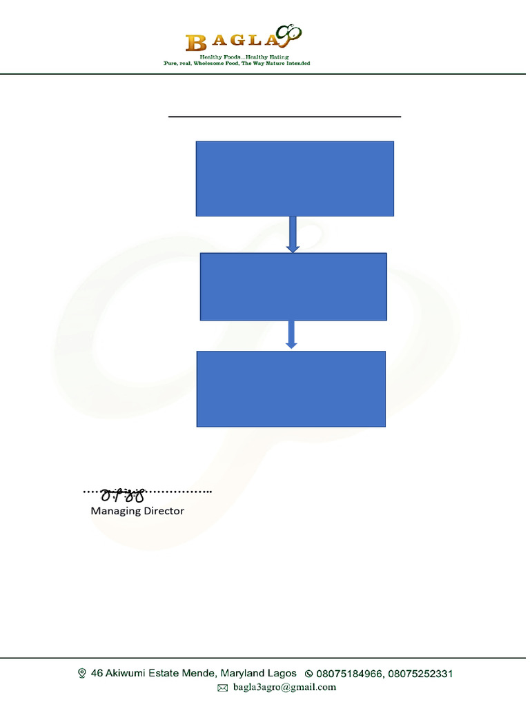 Organizational Structure Overview | PDF